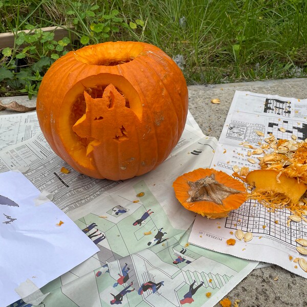 Hibiscus Flower Pumpkin Carving Stencil | 1 Unique Floral Halloween ...