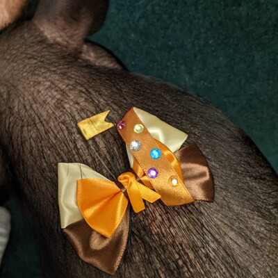 Up Disney Inspired Hair Bow Pixar Inspired up House Hair Bow Russell up ...