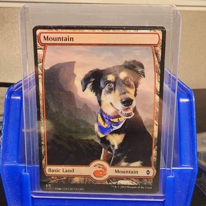 Personalized Pet Magic the Gathering Foil Land - Etsy