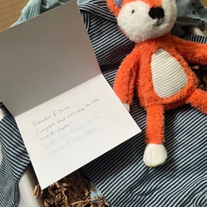 Baby Shower Gift Box, Baby Boy or Girl Gender Neutral Fox Gift Set ...