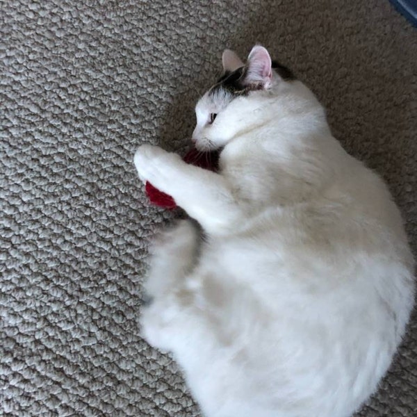 Halloween Scary Guy, Jason Voorhees, Friday the 13th, Low-sew Amigurumi ...