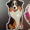 Australian Shepherd Sticker Aussie Chibi Puppy Dog, Vinyl, Hand Drawn ...