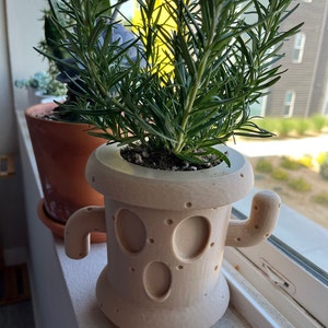 3D Printed Hand-painted Gyroid Lloid Succulent Planter Vase Inspired by ...