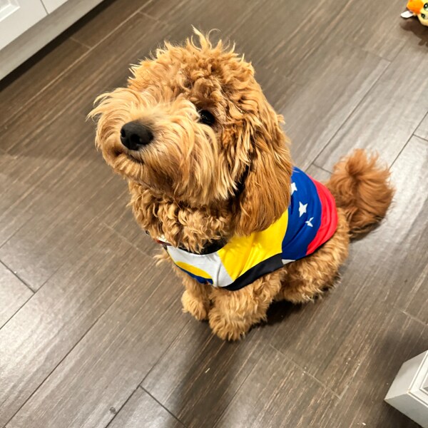 Neon Color Chart & HEX Codes, Printable, Designer Quick Reference ...