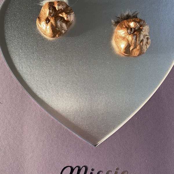 Pet Casting, Paw Cast, Paw Print, DIY Casting Kit, Keepsake for Dog ...