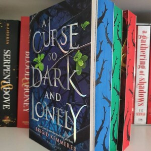 ACOTAR Silver Stencil Sprayed Edge Set | Etsy