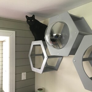 8 Pieces Cat Playground Unique Space for Your Cat Cat Wall | Etsy
