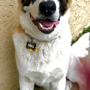 Yellow Floral Dog Tag Rustic Dog Tag Faux Wood ID Cat ID - Etsy