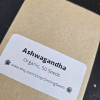 Garlic Chive Broad Leaved Nira, 100 Seeds, Chinese Leek Japanese ...