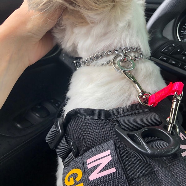 Harness to Collar Safety Clip, 3 Widths, 25+ Colors, Safeties, Backup ...