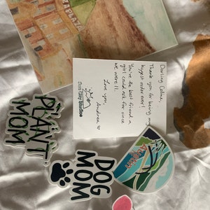 Austin Texas Vinyl Sticker Matte Austin Vinyl Sticker 360 - Etsy