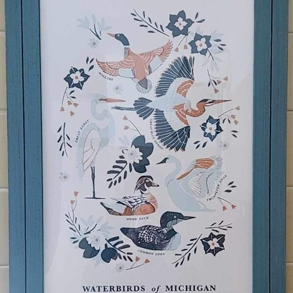 Water Birds of Michigan Screenprint - Etsy