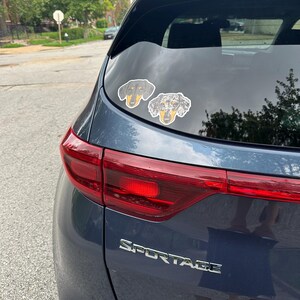 Elder Scrolls Skyrim Dragon Sticker Holographic Vinyl - Etsy