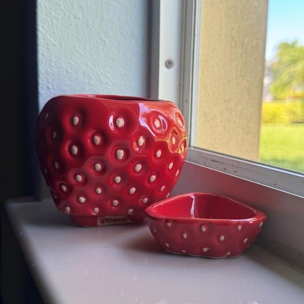 Ceramic Pot in the Shape of Raspberries and Blackberries - Etsy