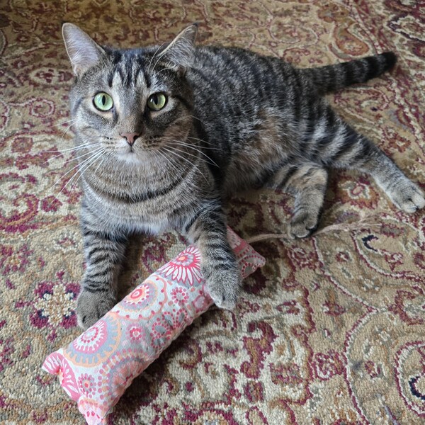 Cat Scent Enrichment Kit 13 Herbs Improve Wellbeing Cat Toy Cat Gift ...