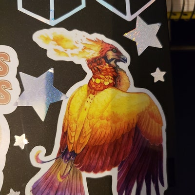 Vinyl Bird Stickers 7 Designs to Choose From Hawk Falcon Owl Raven ...