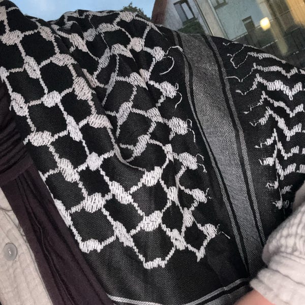 Medjool Dates From Palestine -jericho - Etsy