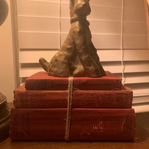 Sepia Book Stack Rustic Decorative Farmhouse Books Neutral - Etsy