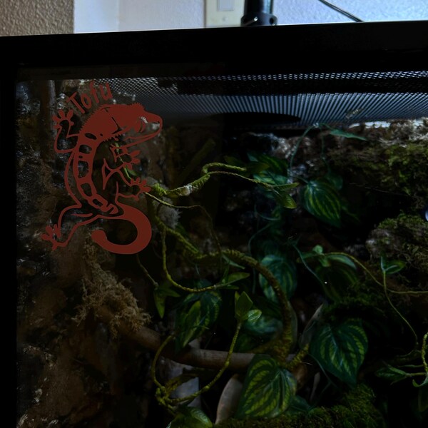 Crested Gecko Decal Customizable Enclosure Decor, Gecko Decal, Reptile ...