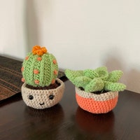 Barrel Cactus Crochet Pattern - Etsy Canada