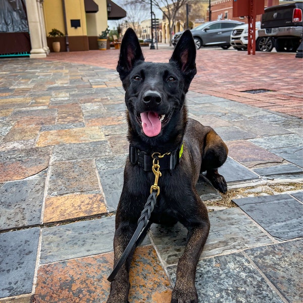 Redline K9 Dominant Dog Collar - Etsy