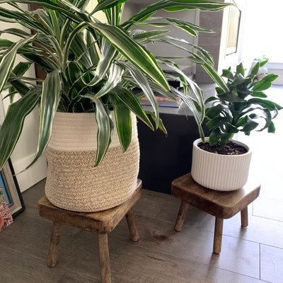 Rustic Wooden Plant Pot Stand Family - Etsy