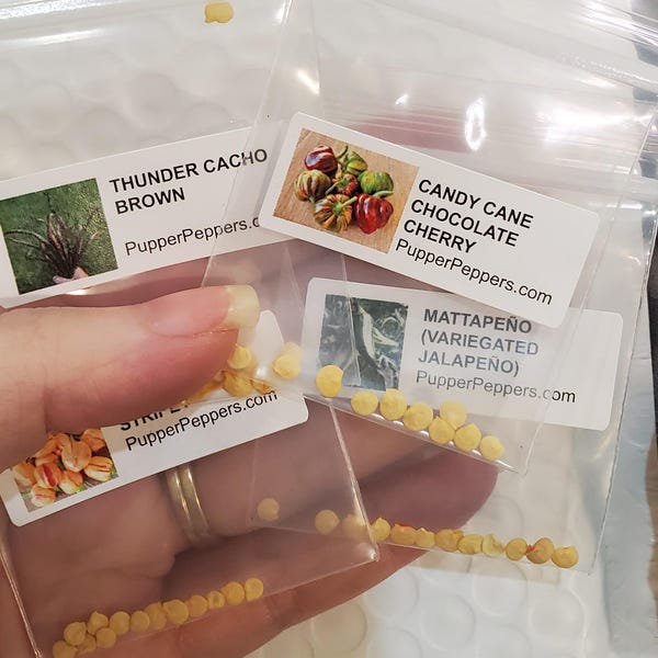 Purple Peach Carolina Reaper Rare Pepper Seeds Premium Packet - Etsy