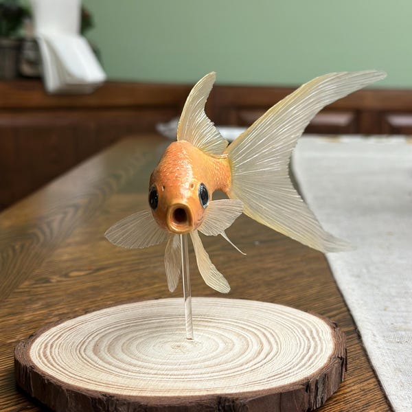 Fake Snail Aquarium - Etsy