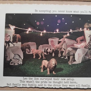 Raccoon Fortune Greeting Card • Funny Raccoon Card • everyday Greetings ...