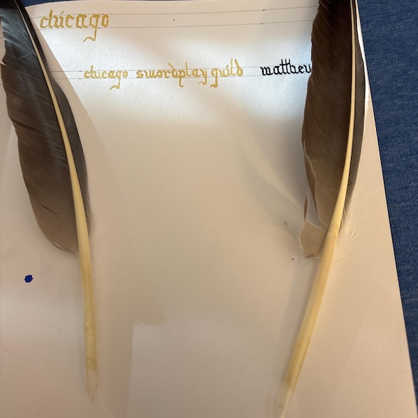 Two Handcut Quills - Etsy