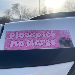 New Driver Pls Be Nice Bumper Sticker AND Magnet Funny Meme Sticker 8.7 ...