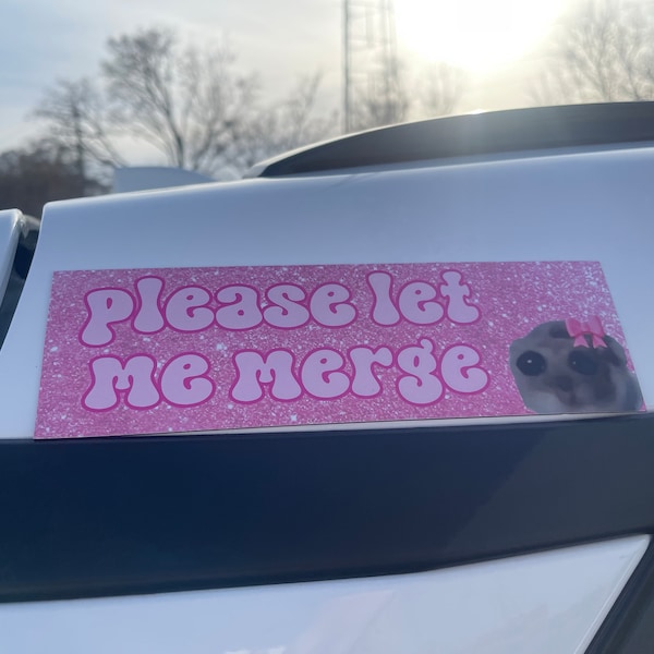 New Driver Pls Be Nice | Bumper Sticker AND Magnet | Funny Meme Sticker ...