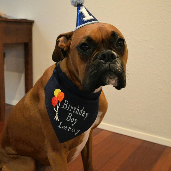 1st Birthday Hat- Boy First Birthday Hat - Mini Blue Party Hat - Boy ...