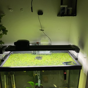 Nicrew Classic, Gen 2, G2, & Plus LED Light Riser, Attractive Stable ...
