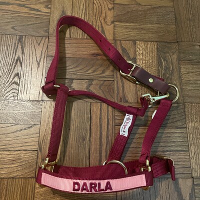 Personalized Horse Halter, Halter, Monogrammed Horse Halter, Horse ...