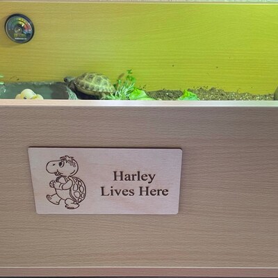Personalised Wooden Tortoise Name Plaque/hanging Sign 4 Designs ...
