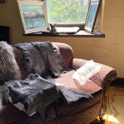 Real Parchment Cuttings Mixed Goatskin Parchment Piece Handmade ...