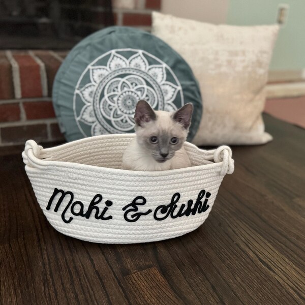 Personalized Cat Toy Basket Custom Kitten Treat Bin New Cat Gift New ...