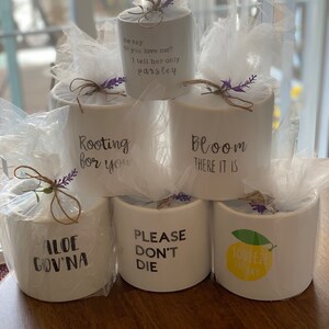 Aloe Govna Funny Plant Pot Plant Pun Plant Holder Funny - Etsy