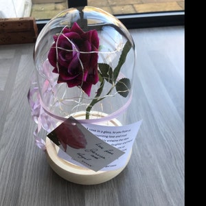 Handmade Glitter Pink Enchanted Rose in Glass Dome Bell Jar With Pretty ...