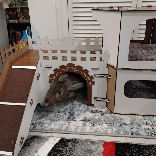 SAURON EYE Rabbit House,middle-earth Rabbit House,rabbits, Bunny House ...