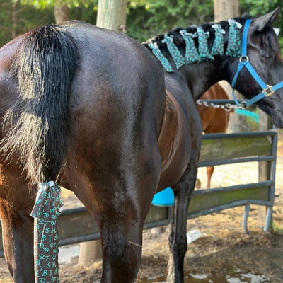 TAIL BAG, Horses Tail Bag, Tail Bag for Horses, Mane and Tail Bag for ...