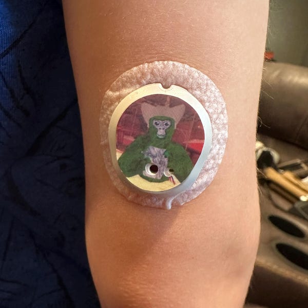 G7/ Dinosaur 4 Pack / Dexcom G7 Stickers, Diabetes Stickers, Dexcom ...