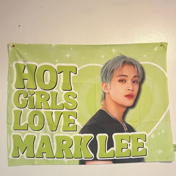 SKZ Bang Chan Hot Girls Concert Banner, Stray Kids Members Kpop Flag ...