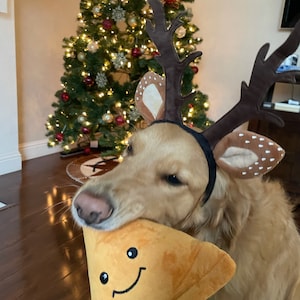 Samosa Plush Chew Toy for Pets - Etsy