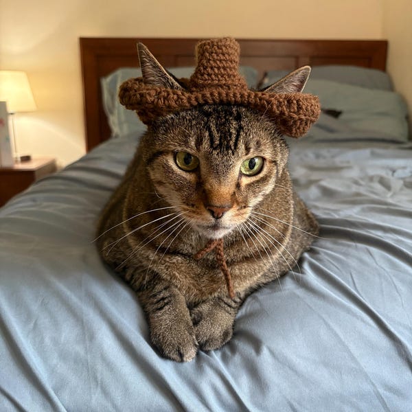 CROCHET PATTERN - Alien Cat Costume Pattern, Toy Story Alien Cat Hat ...