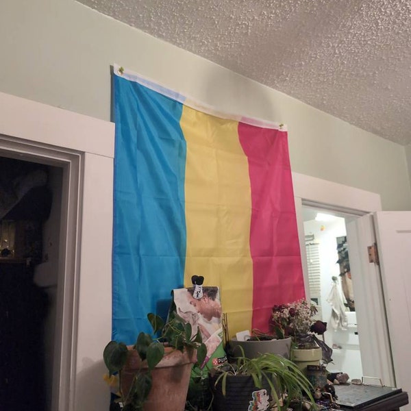 DIGITAL FILE: Printable Extended Pride Flag Reference Guide - Includes ...