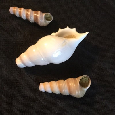 The Magic Conch Large Size White by Shellpipe free Pipe & Screens W ...