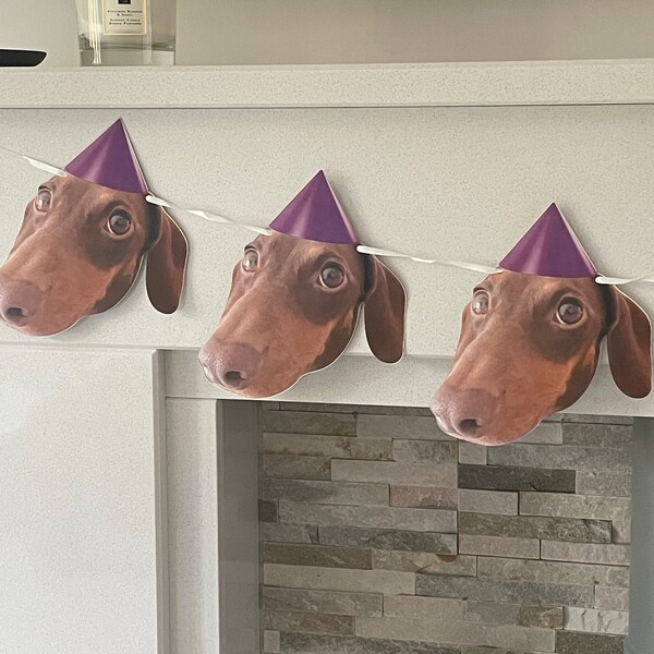 Custom Photo Face Bunting Banner Cutout 30th Birthday Party Decorations ...