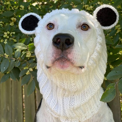 Panda Dog Snood Knit Crochet Dog Hat Easter Dog Costume Ear Warmer - Etsy